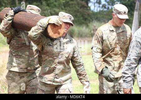 Soldiers with the Sensor Management Cell assigned to the 94th Army Air ...