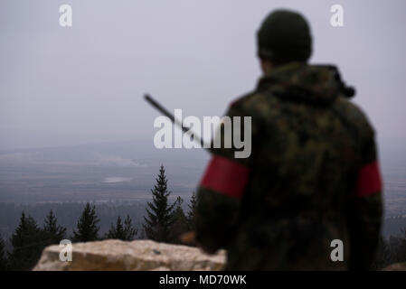 A German air force airman fires an M4A1 carbine during Combat Arms ...