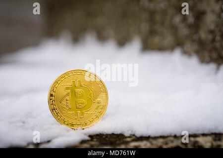 A gold Bitcoin placed in snow on concrete. Isolated scene of ...