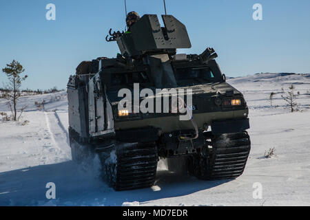 A British Royal Marines commando identifies obstacles and relays their ...
