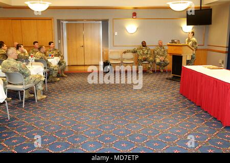 Col. Michelle Link, commander of the 372nd Engineer Brigade, addresses ...