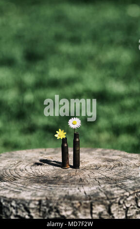 shotgun shell with yellow little flower Stock Photo - Alamy