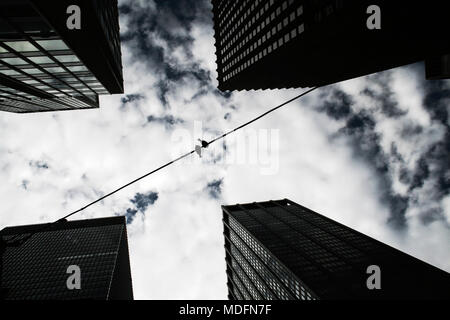 Profiles of buildings in New York, USA Stock Photo - Alamy