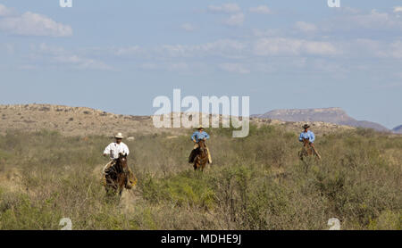 Cowboys on their way to a cattle round up in West Texas ranch Stock ...