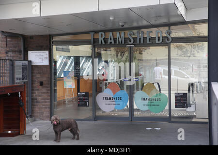 Tramsheds, Forest Lodge taken from Maxwell Road, Glebe, Sydney ...