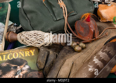 Collection of falconry items displayed on table. Wales Stock Photo - Alamy