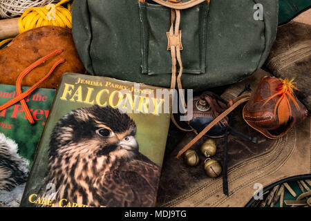 Collection of falconry items displayed on table. Wales Stock Photo - Alamy