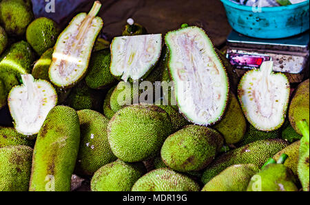 Artocarpus heterophyllus, Jackfruit, Kathal in India, Tropical fruit ...