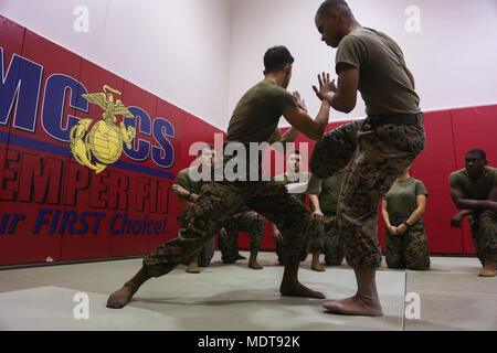 Cpl. Javier Carpintero demonstrates a Marine Corps Martial Arts Program ...