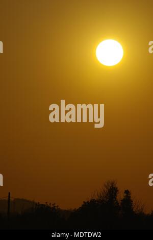 Orange Silhouetted Landscape at Sunset. Topsham, Exeter, Devon, UK ...