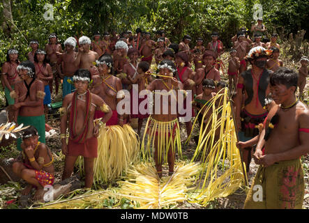 Preparations for the meeting of all ethnicities in Toototobi Yanomami ...