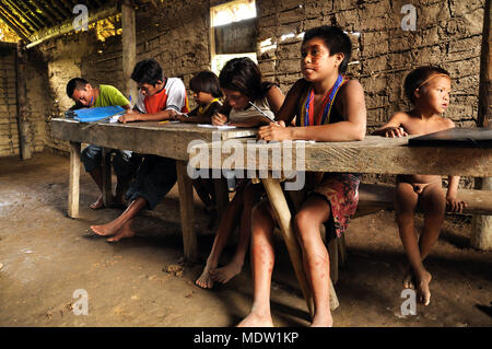 Yanomami indigenous school in the village of Kolulu - Auaris River ...