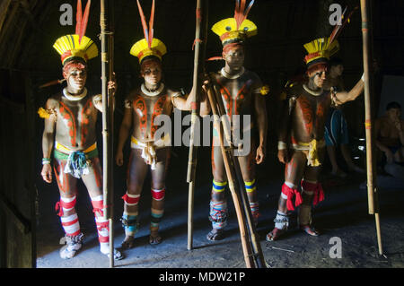 Xingu Indigenous Park, Mato Grosso, Brazil. Aldeia Matipu. Guest Stock ...