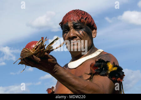 Kuarups the Village Aiha - ethnicity Kalapalo Stock Photo - Alamy