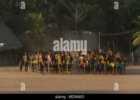 traditional dance by Xingu indians in the Amazone, Brazil Stock Photo ...