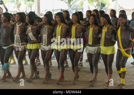 Kayapo Indian village Moikarako participate in the dance of cassava ...