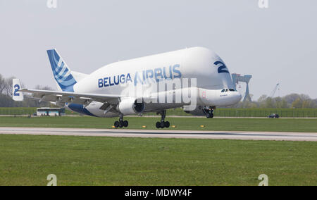 Airbus Beluga, loading in hangar, airport, Hamburg, Germany Stock Photo ...