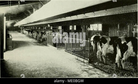 Examples of splices in different stages of completion, from the Nordisk ...