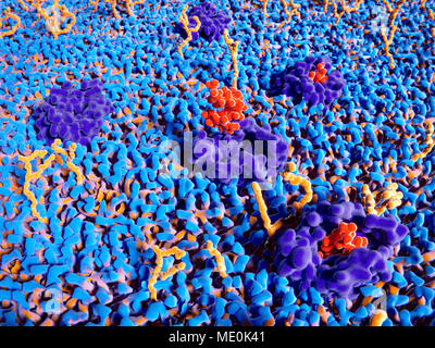 Molecular structure of human body Stock Photo - Alamy