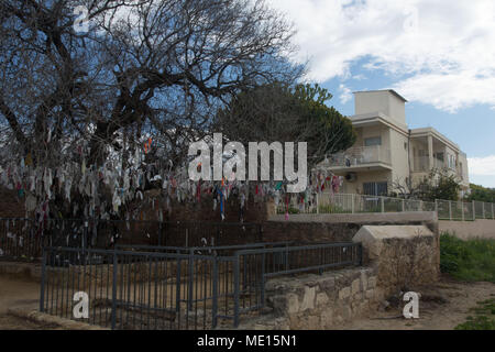 offerings on the terebinth tree outside the Agia Solomoni Christian ...