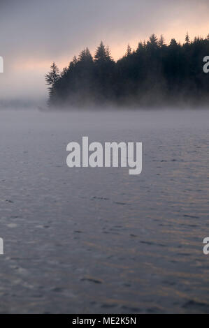 Mist on Tahkenitch Lake, Oregon Dunes National Recreation Area, Oregon ...