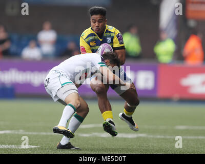 Cardiff Blues' Rey Lee-Lo celebrates at the end of the European ...