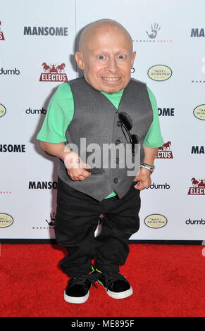 ***FILE PHOTO*** Verne Troyer Has Passed Away at Age 49 HOLLYWOOD, CA ...