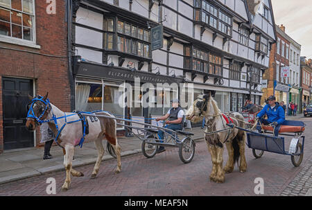 gypsy horse and trap. rochester Stock Photo - Alamy