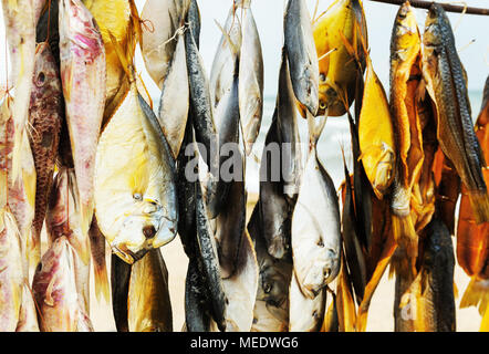 Dried fish of different species hanging on a thread Stock Photo - Alamy