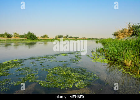 green valley river, Jeddah - Saudi arabia Stock Photo - Alamy