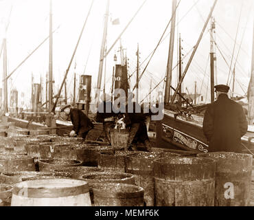 Fishing boats, Great Yarmouth, early 1900s Stock Photo - Alamy