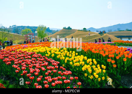 Suncheonman bay international garden in Suncheon city of South Korea ...