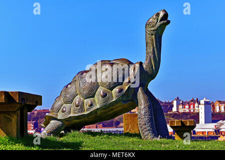 The South Shields Tortoise Statue at South Shields Stock Photo - Alamy