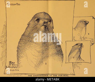 . Seal and salmon fisheries and general resources of Alaska. even in ...