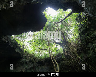 Caves in Ishigaki Island, Okinawa Prefecture, Japan Stock Photo - Alamy