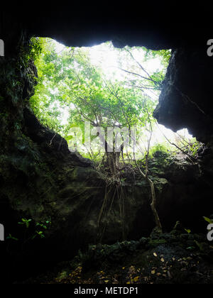 Caves in Ishigaki Island, Okinawa Prefecture, Japan Stock Photo - Alamy