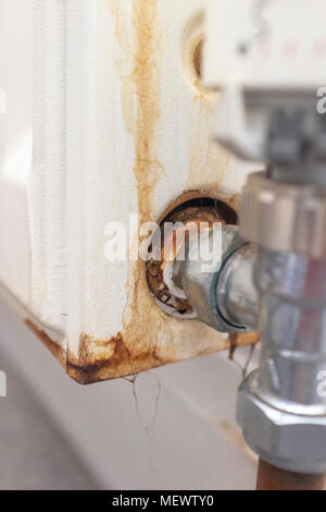 Leaking Radiator Pipes Stock Photo - Alamy