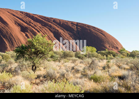 Prominent sedimentary layers visible in the rock face of Uluru (Ayers ...