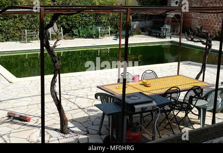 An unclean swimming pool with green water Stock Photo - Alamy