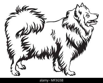 Decorative outline portrait of Dog Japanese Spitz, vector illustration ...