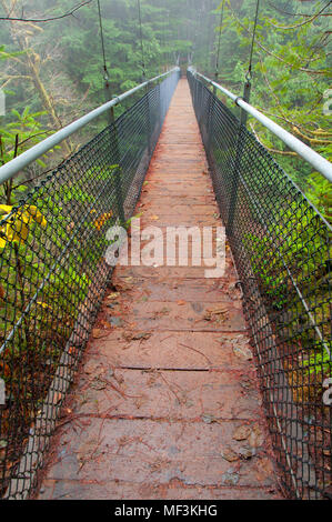 Hiker suspension bridge on Drift Creek Falls Trail, Siuslaw National ...