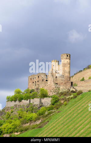 Nollig Castle ruins ( Ruine Nollig) above the village of Lorch in Stock ...