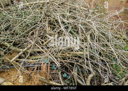 Pile of twigs and branches Stock Photo: 33447977 - Alamy