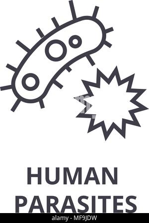 Vector Illustration of a Human Intestinal Parasites Stock Vector Art ...