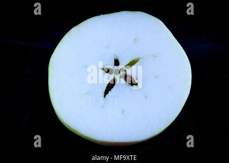 Old German Apple Cultivar "Weißer Winterglockenapfel Stock Photo - Alamy