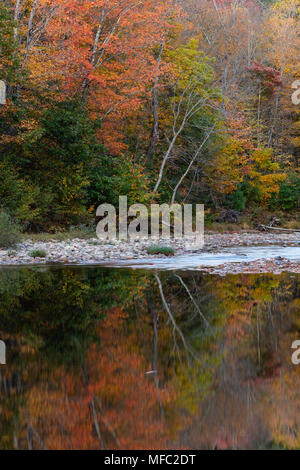 Fall foliage color in Bethel Heritage Park in Winkler, Manitoba, Canada ...