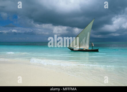 Dhow sailing boat Lateen rigged coastal sailing vessel of Arab origin ...