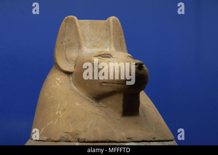 Detail of ancient egyptian mummy in Naples History museum Stock Photo ...