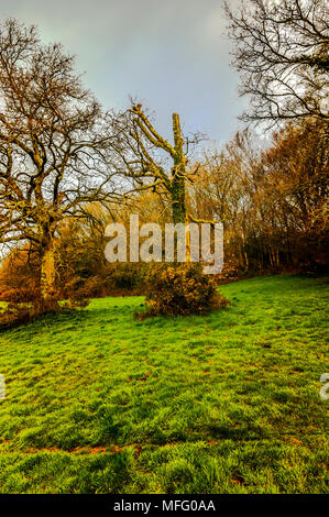 Sunrise - East Knoyle - Wiltshire - UK Stock Photo - Alamy