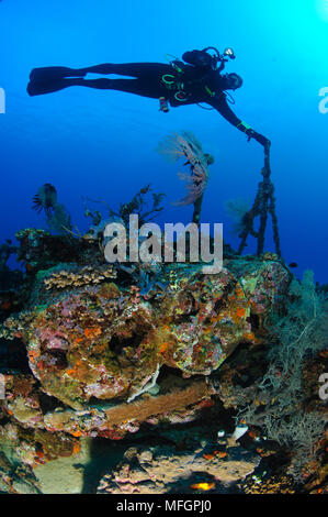 Diver on the cross wreck Stock Photo - Alamy